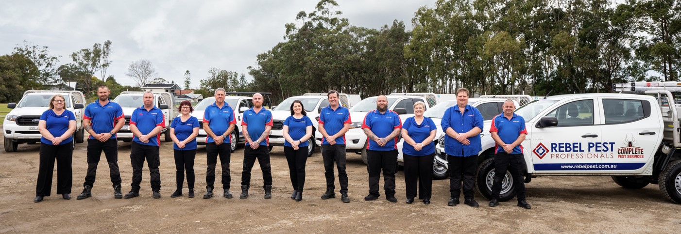 Rebel Pest Professionals Interview - Rapid Solutions