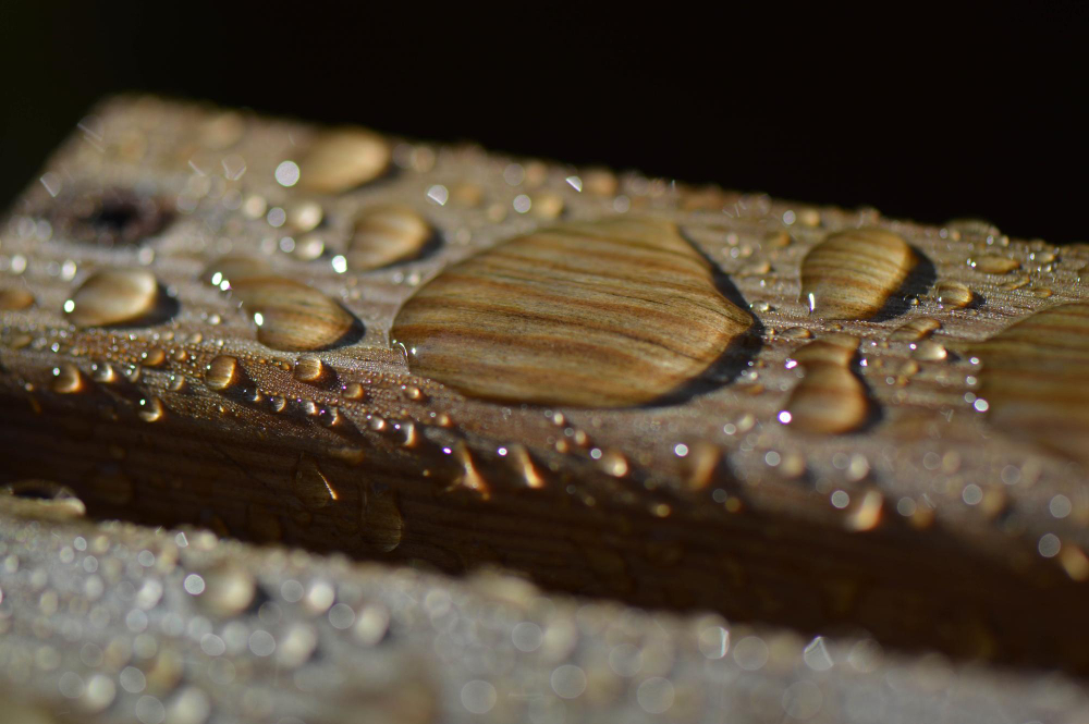 Rapid Solutions - General liability & professional indemnity insurance ...